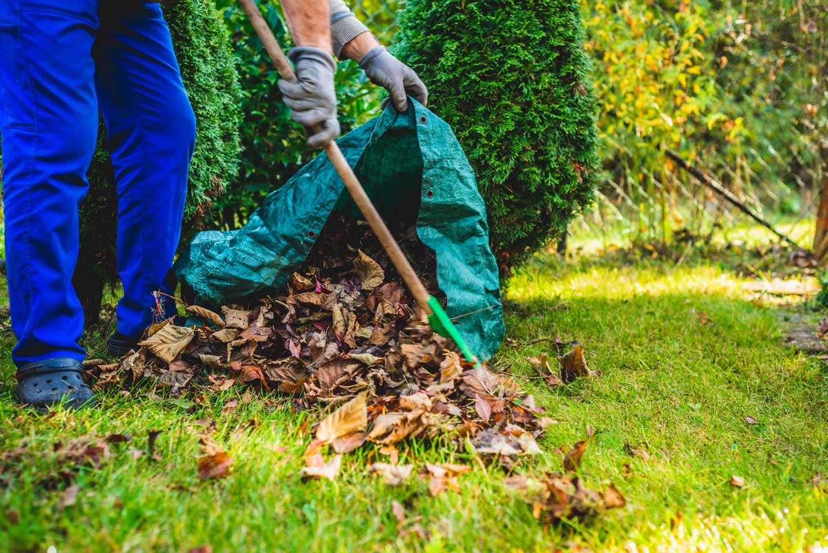 Spring & Fall Clean Up | Services | Master Lawn Care