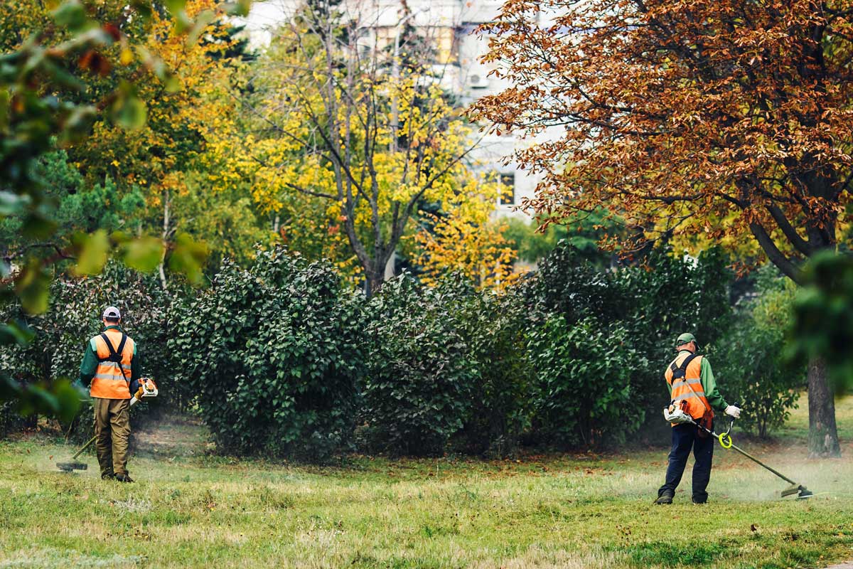 Jobs | Master Lawn Care | Duluth, MN